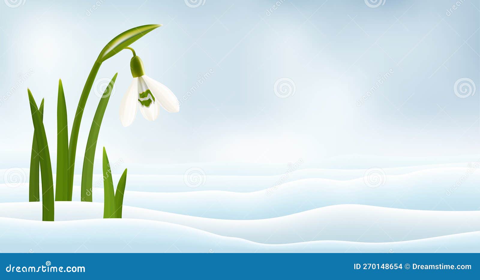 Snowdrop Flowers in the Snow Realistic Vector Stock Vector ...