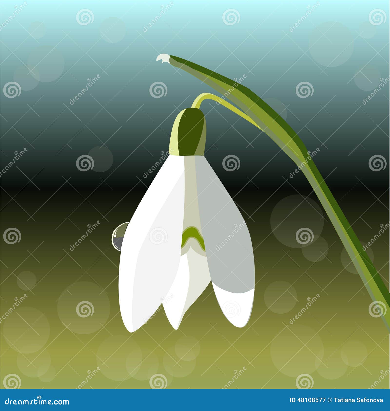 Snowdrop Illustration, Drawing, Engraving, Ink, Line Art, Vector ...