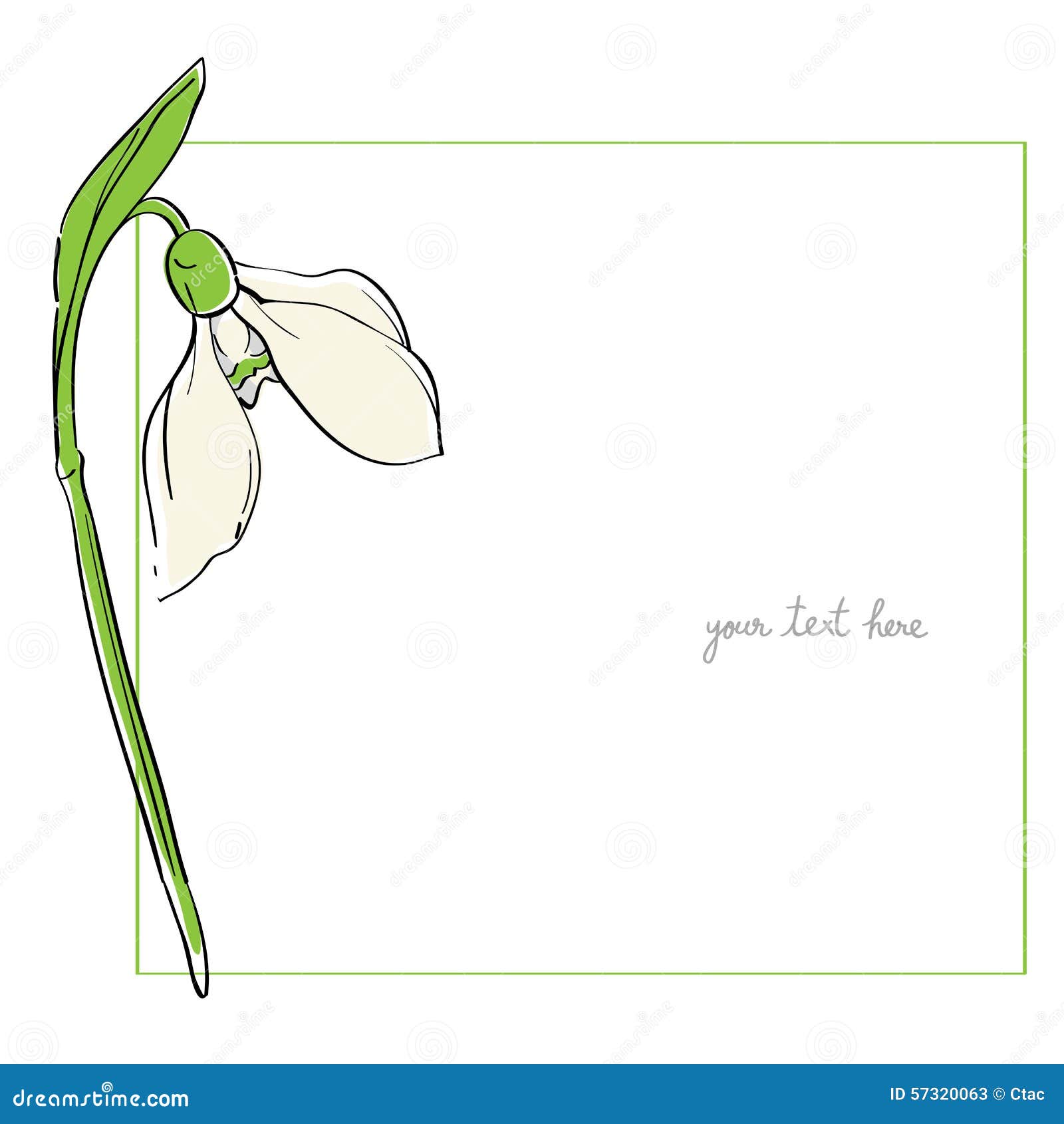 Snowdrop minimal card stock vector. Illustration of simple - 57320063