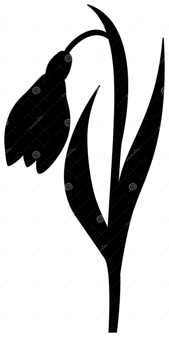 Snowdrop black silhouette stock vector. Illustration of blooming ...