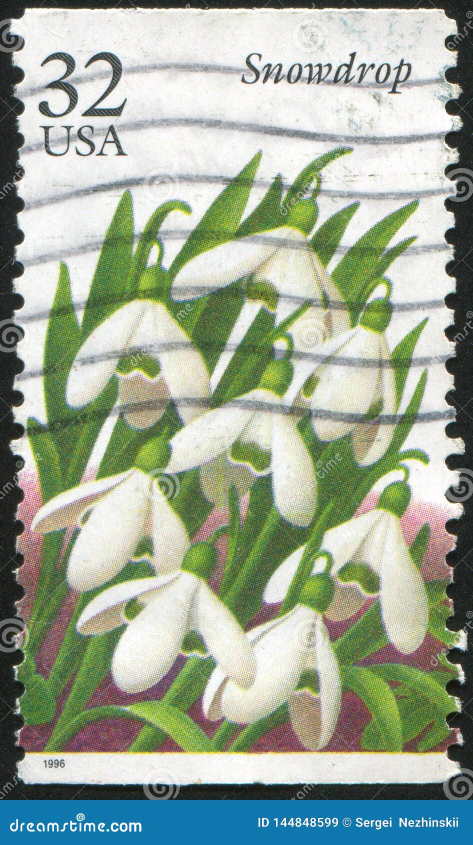 Snowdrop editorial stock image. Illustration of nature - 144848599