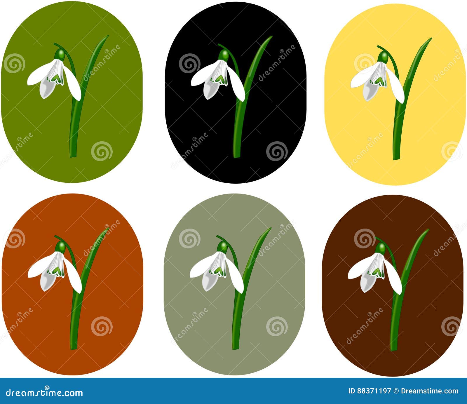 Snowdrops stock image. Illustration of bulbs, snowdrops - 88371197