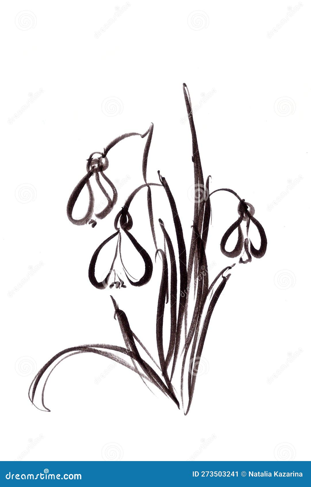 Snowdrops Graphic Black and White Drawing on White Background Stock ...