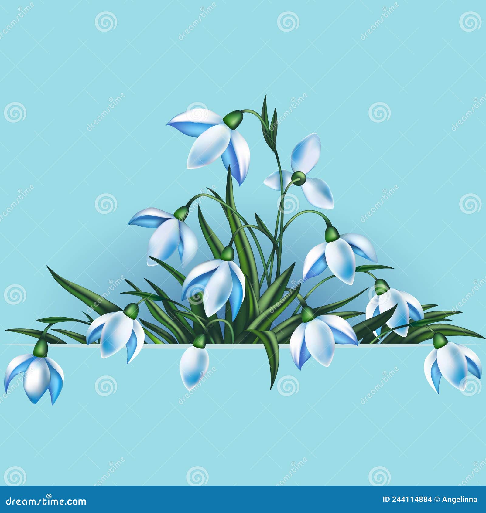 Snowdrops with Horizontal Banner Stock Vector - Illustration of ...