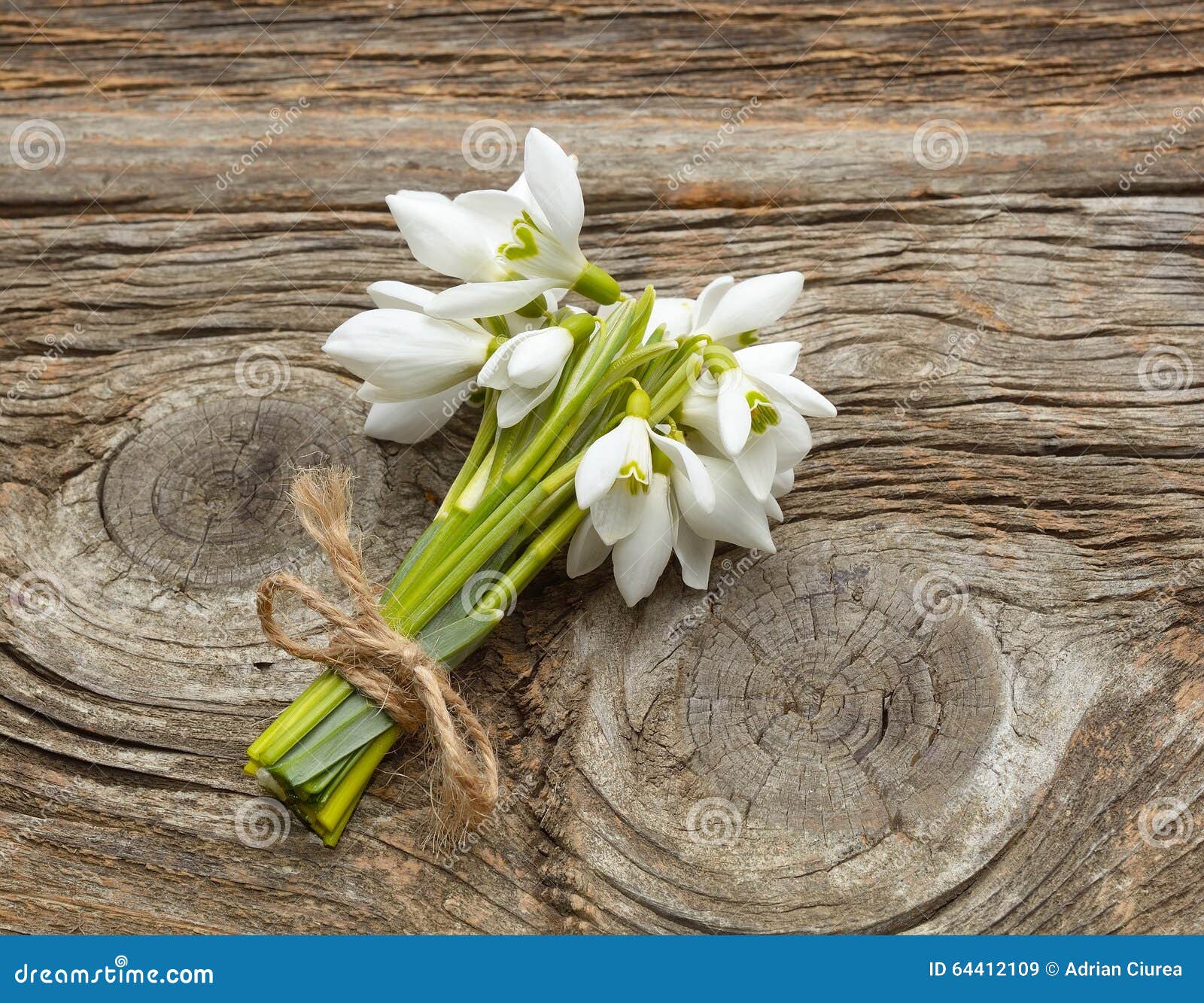 Snowdrops on Wooden Background Stock Image - Image of group, leaf: 64412109