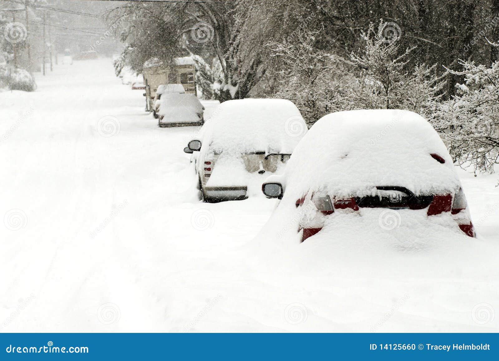 Snowed in stock photo. Image of blizzard, heavy, urban - 14125660