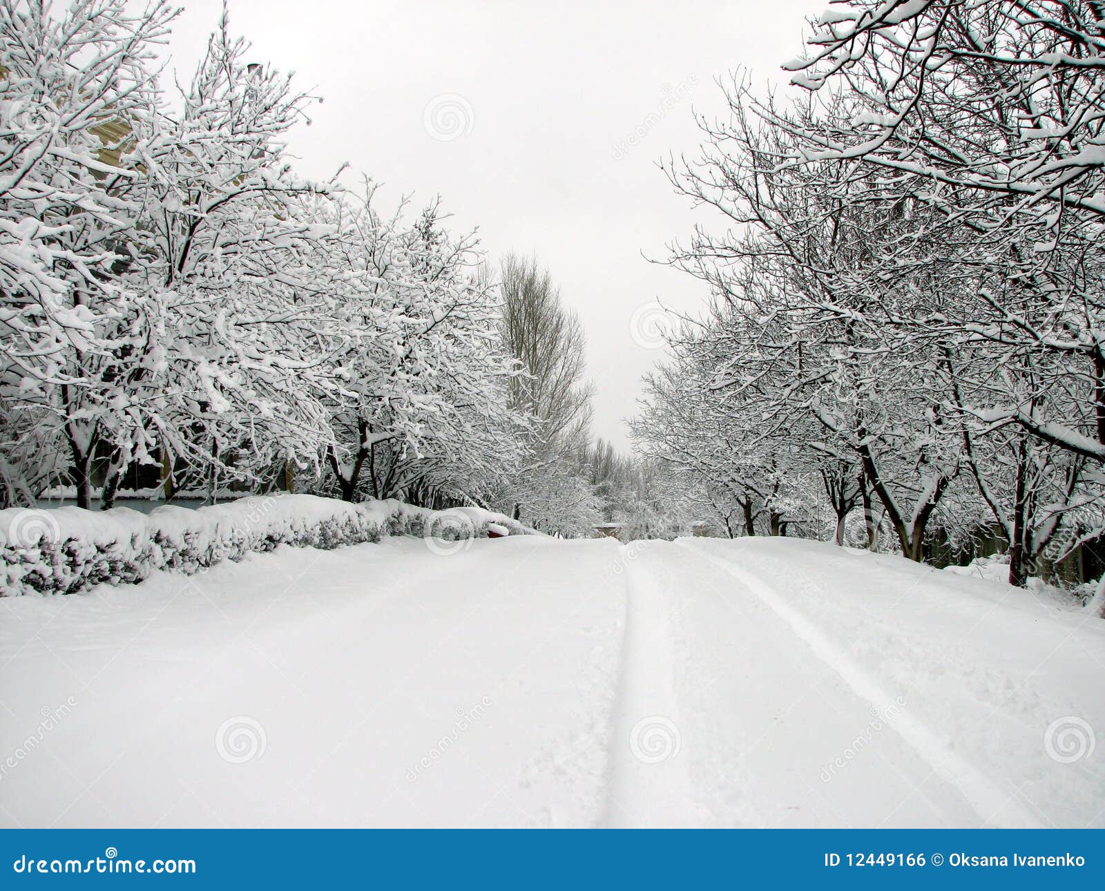 Snowed up road stock photo. Image of street, clad, precipitation - 12449166