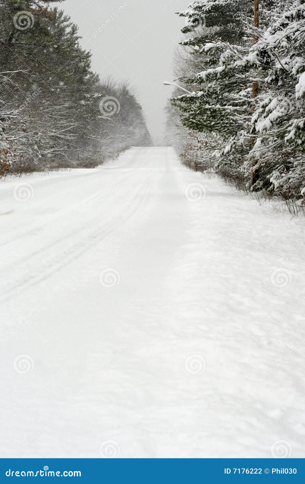 Snowfall stock photo. Image of white, storm, snowbank - 7176222