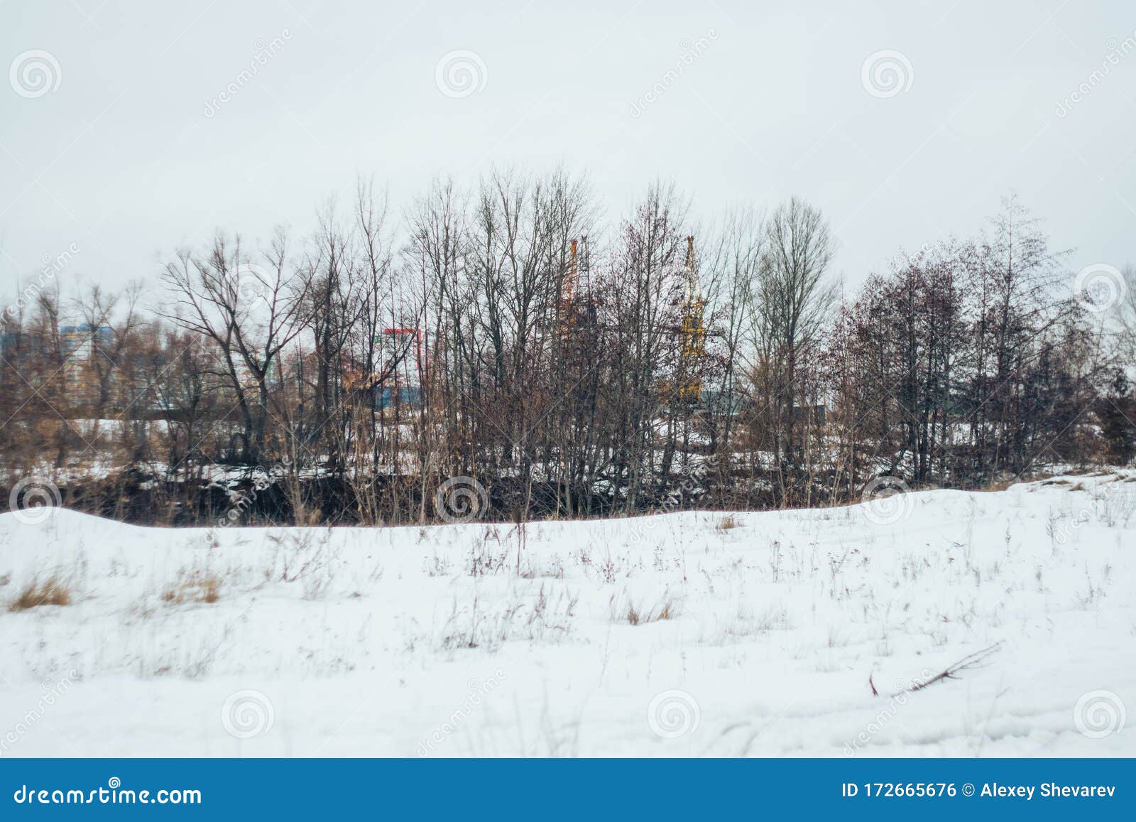 Snowfall on a Beautiful Grey Winter Landscape Stock Photo - Image of ...