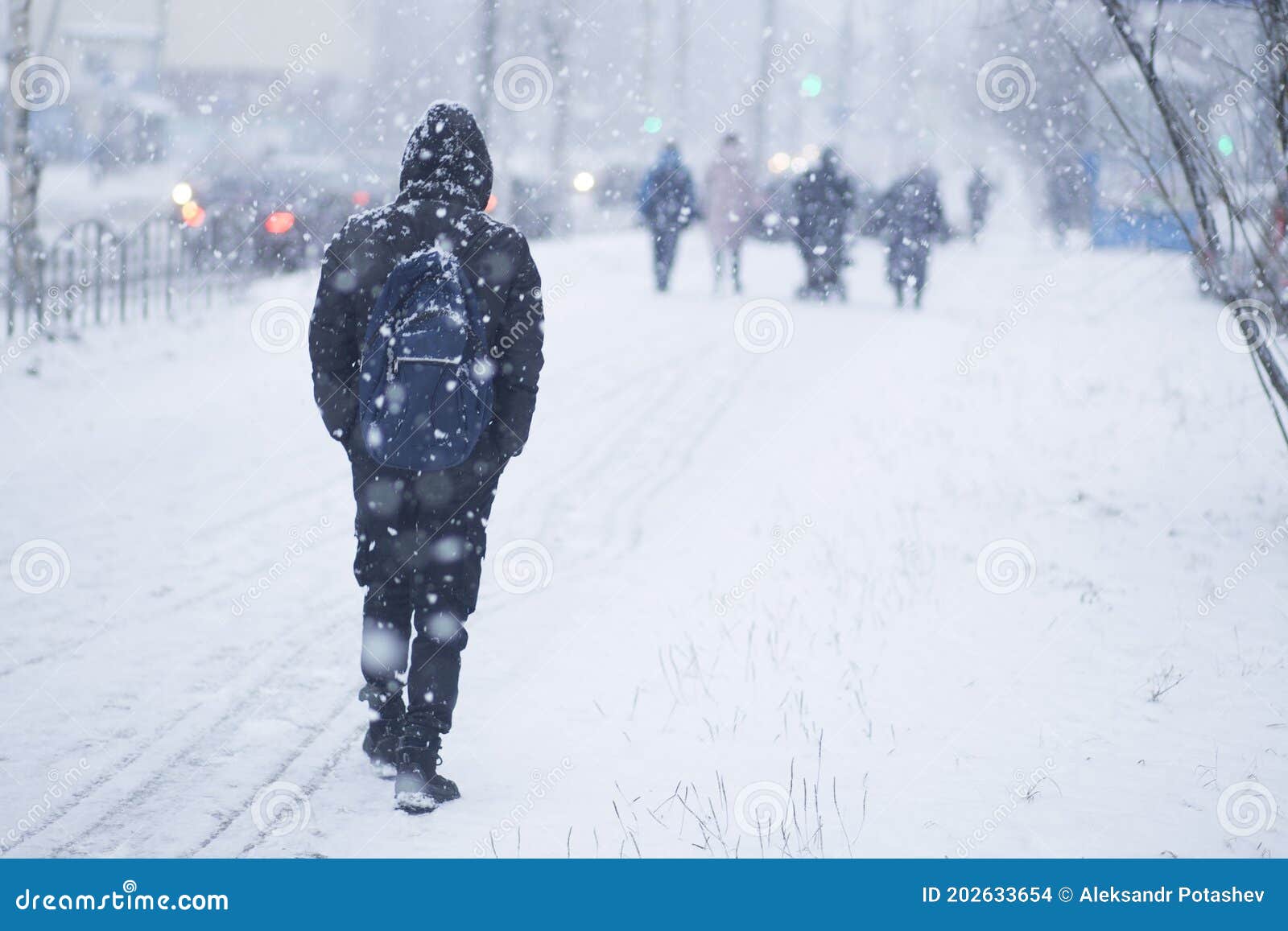 Snowfall in the City. Weather Deterioration Stock Photo - Image of ...