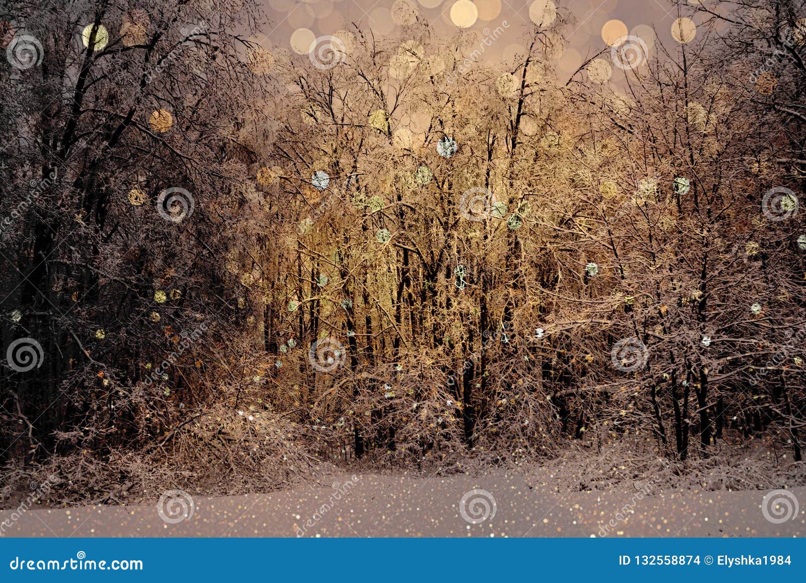 Snowy Forest, Snowfall in the Evening Bokeh Effect Stock Photo - Image ...