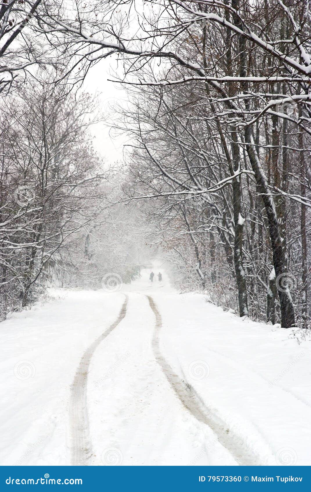 Snowfall Country Road Stock Photos - Download 5,373 Royalty Free Photos
