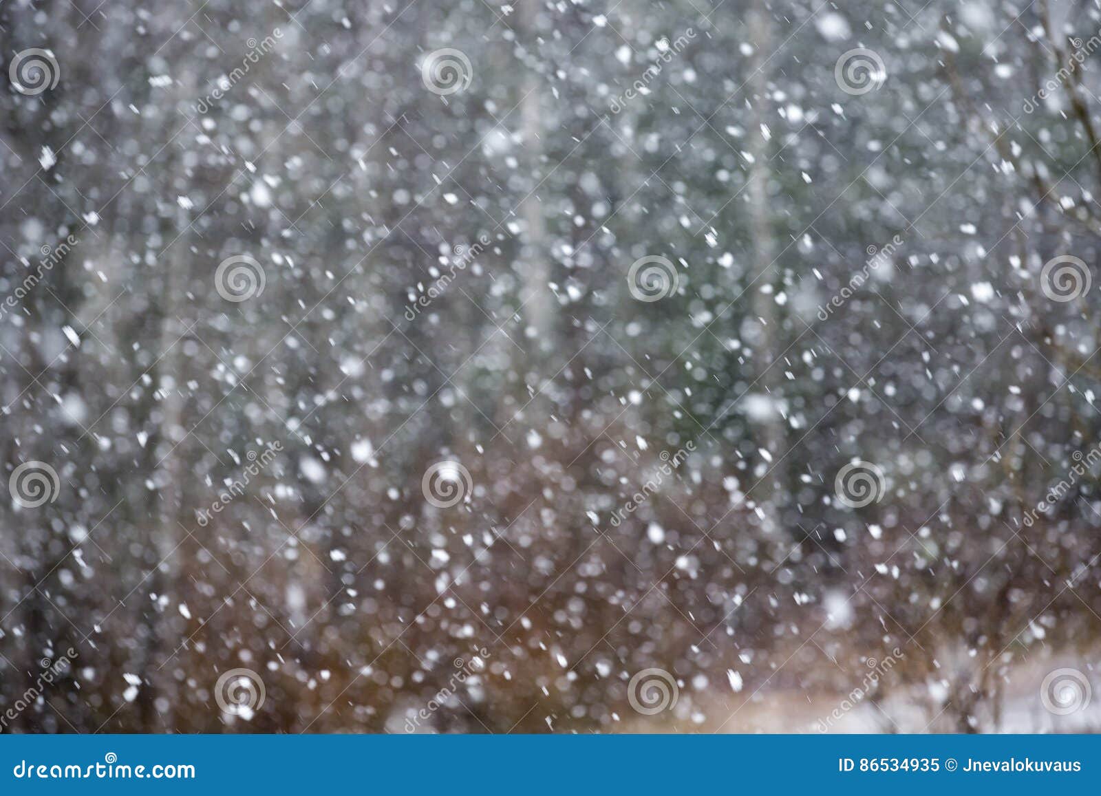 Blizzard Stock Photography | CartoonDealer.com #73556666