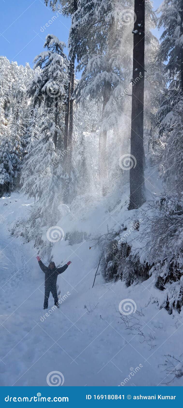 Snowfall in men editorial photo. Image of nature, snowfall - 169180841