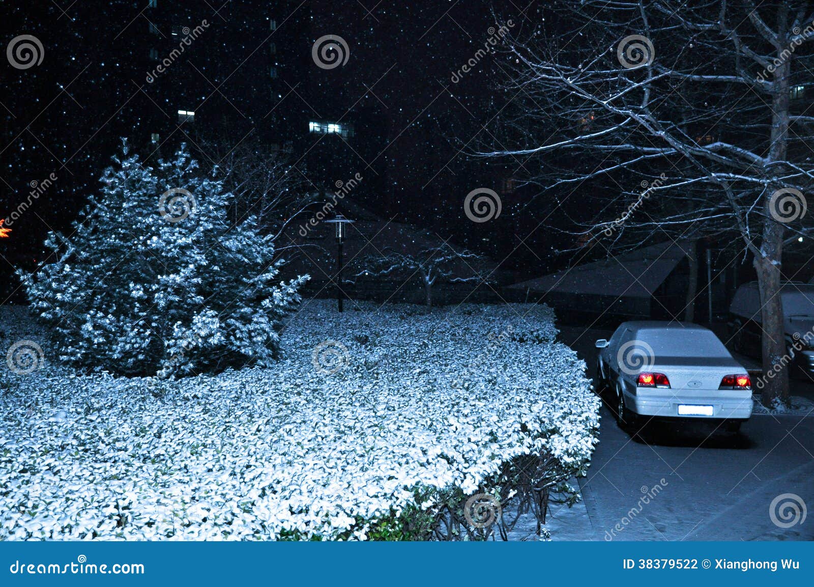 The snowfall in night stock photo. Image of buildings - 38379522