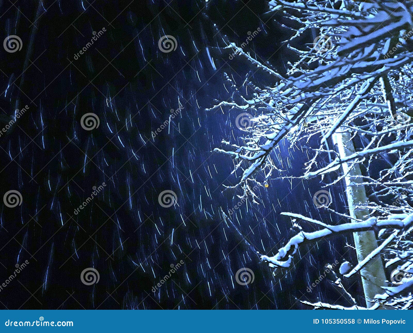 Snowfall at night stock photo. Image of winter, snow - 105350558
