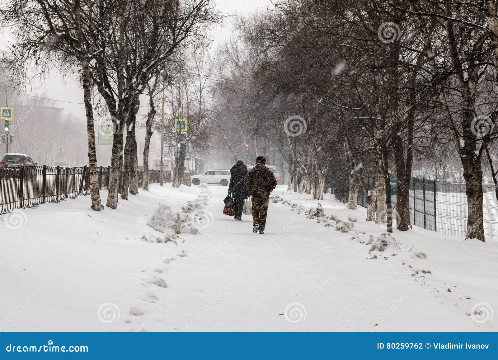 Snowfall in November stock photo. Image of november, passerby - 80259762