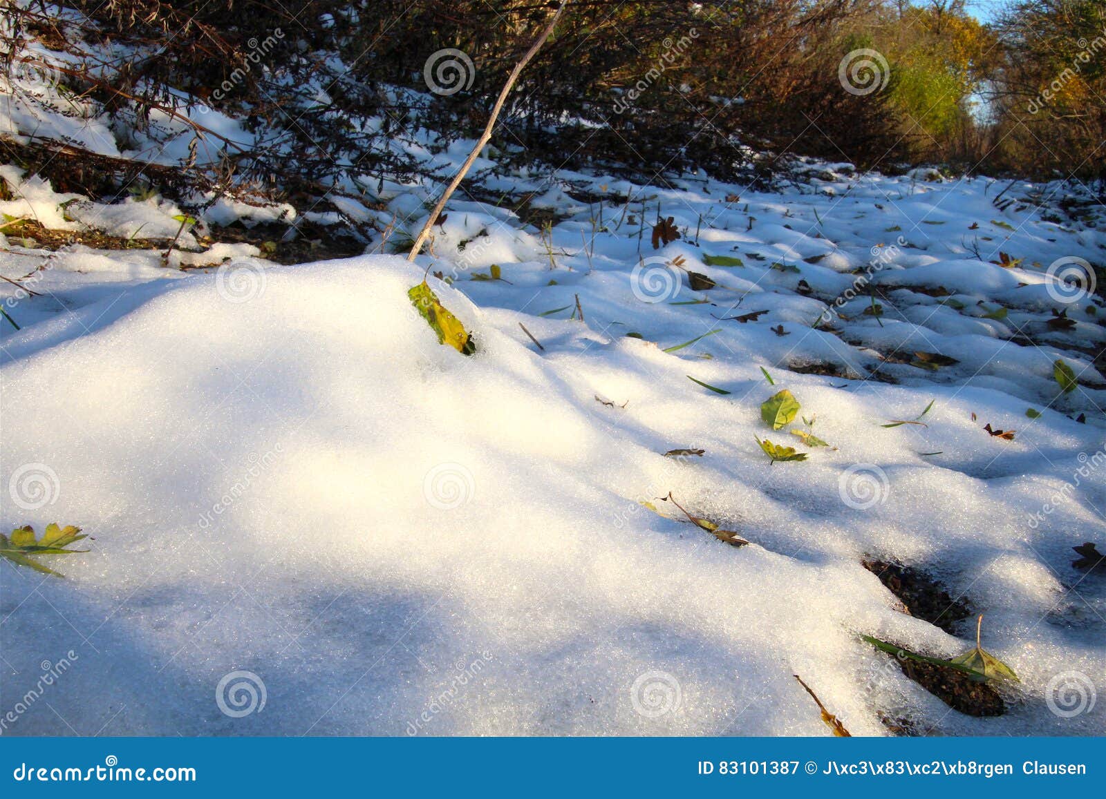 Snowfall in November stock image. Image of november, leaves - 83101387
