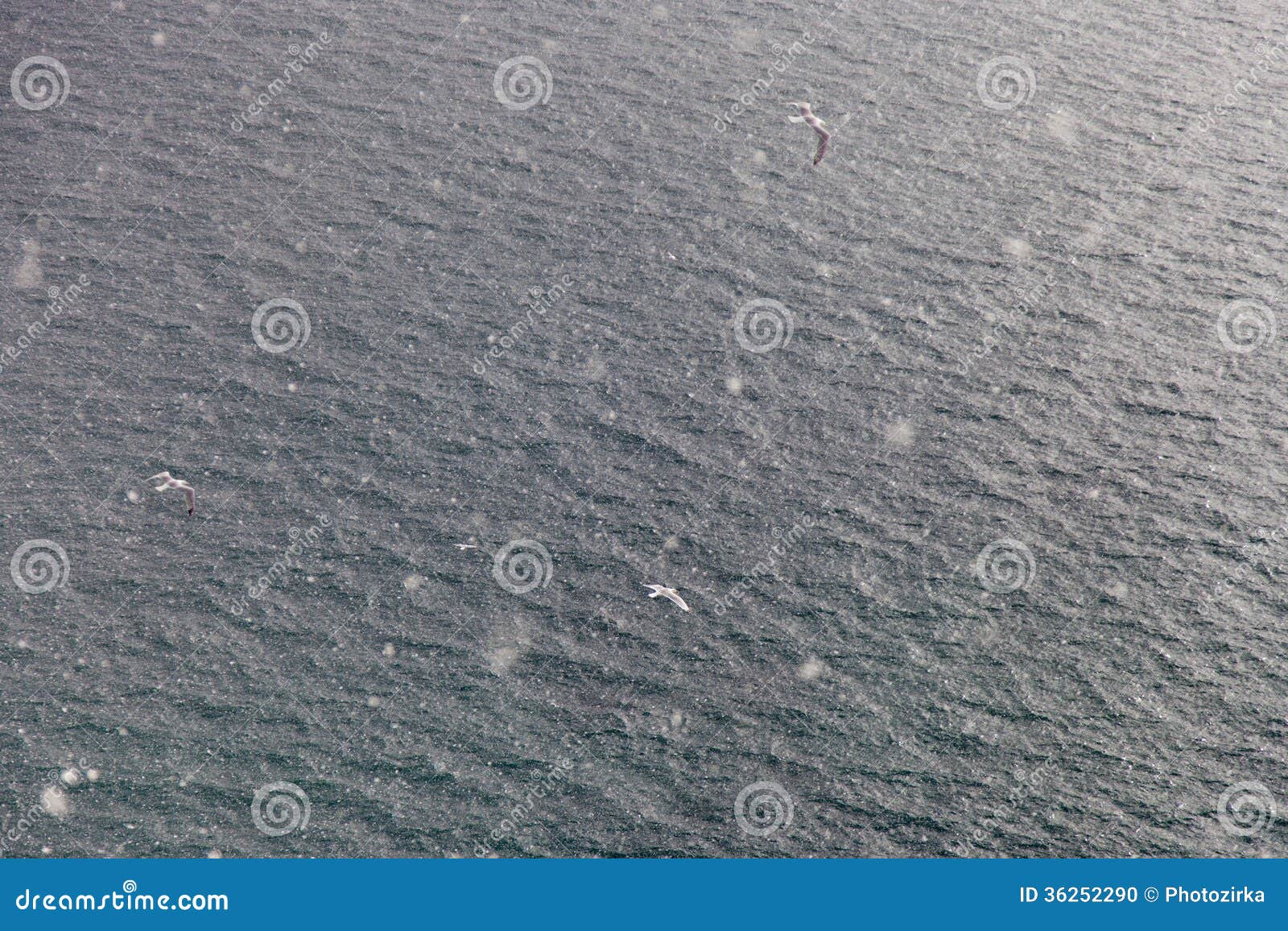 Snowfall Over the Sea Surface Stock Photo - Image of ocean, abstract ...