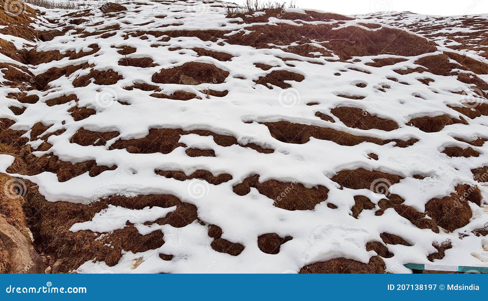 Snowfall at Patnitop stock image. Image of jammu, effect - 207138197
