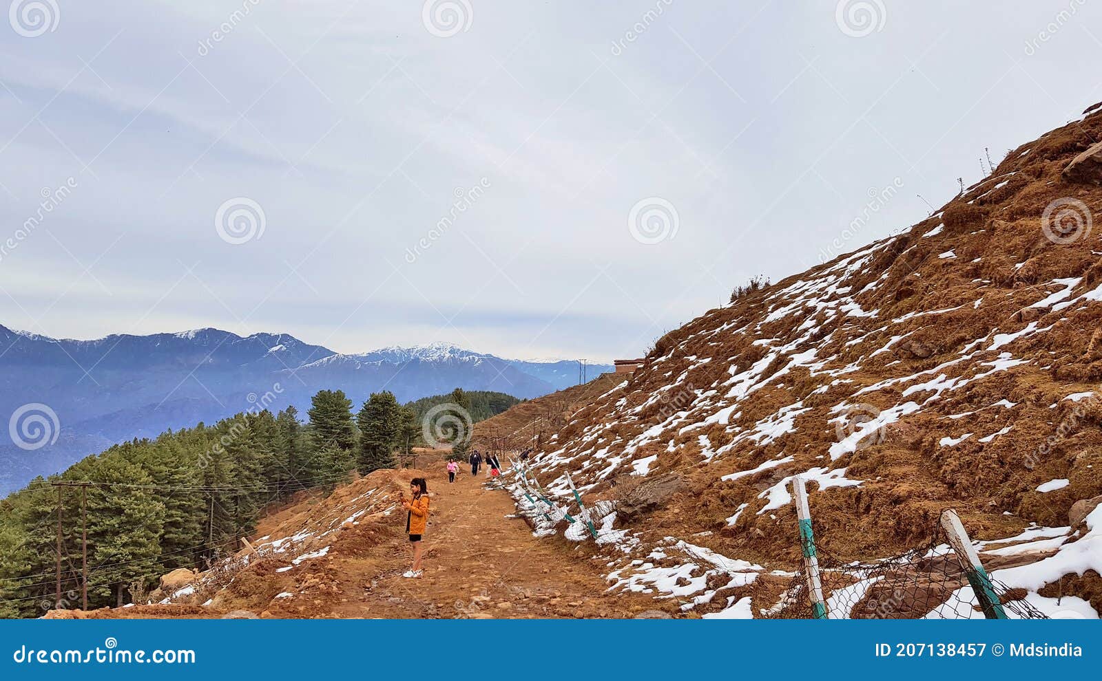 Snowfall at Patnitop stock image. Image of white, falling - 207138457