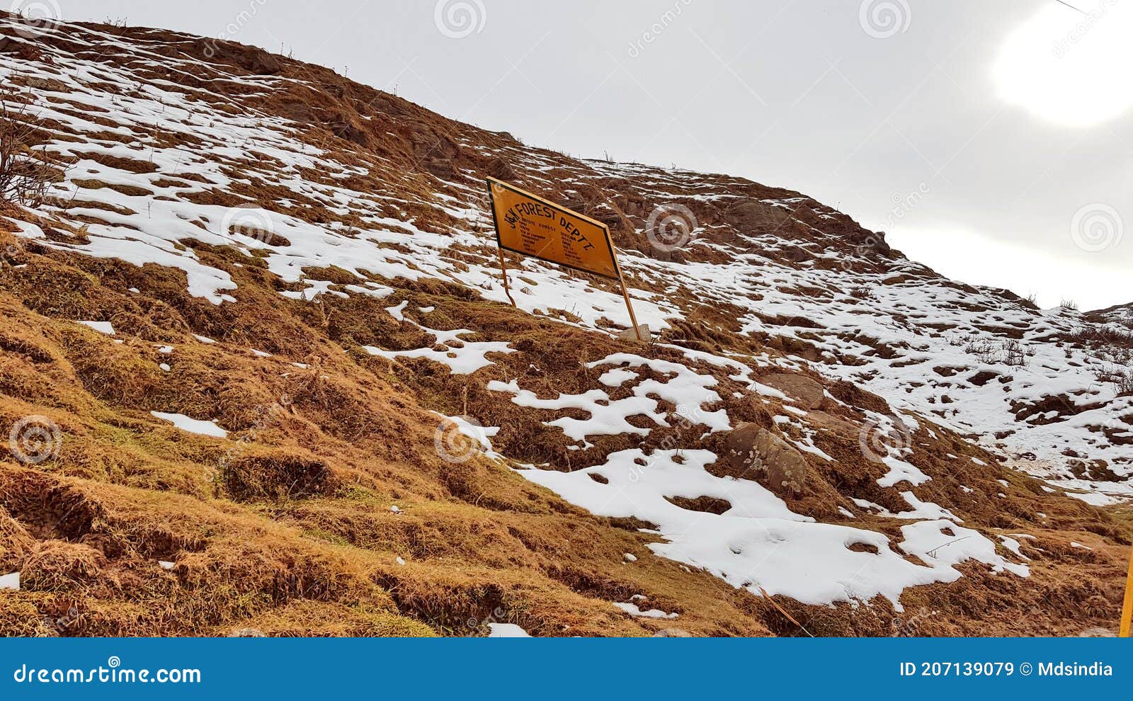 Snowfall at Patnitop stock image. Image of nature, falling - 207139079