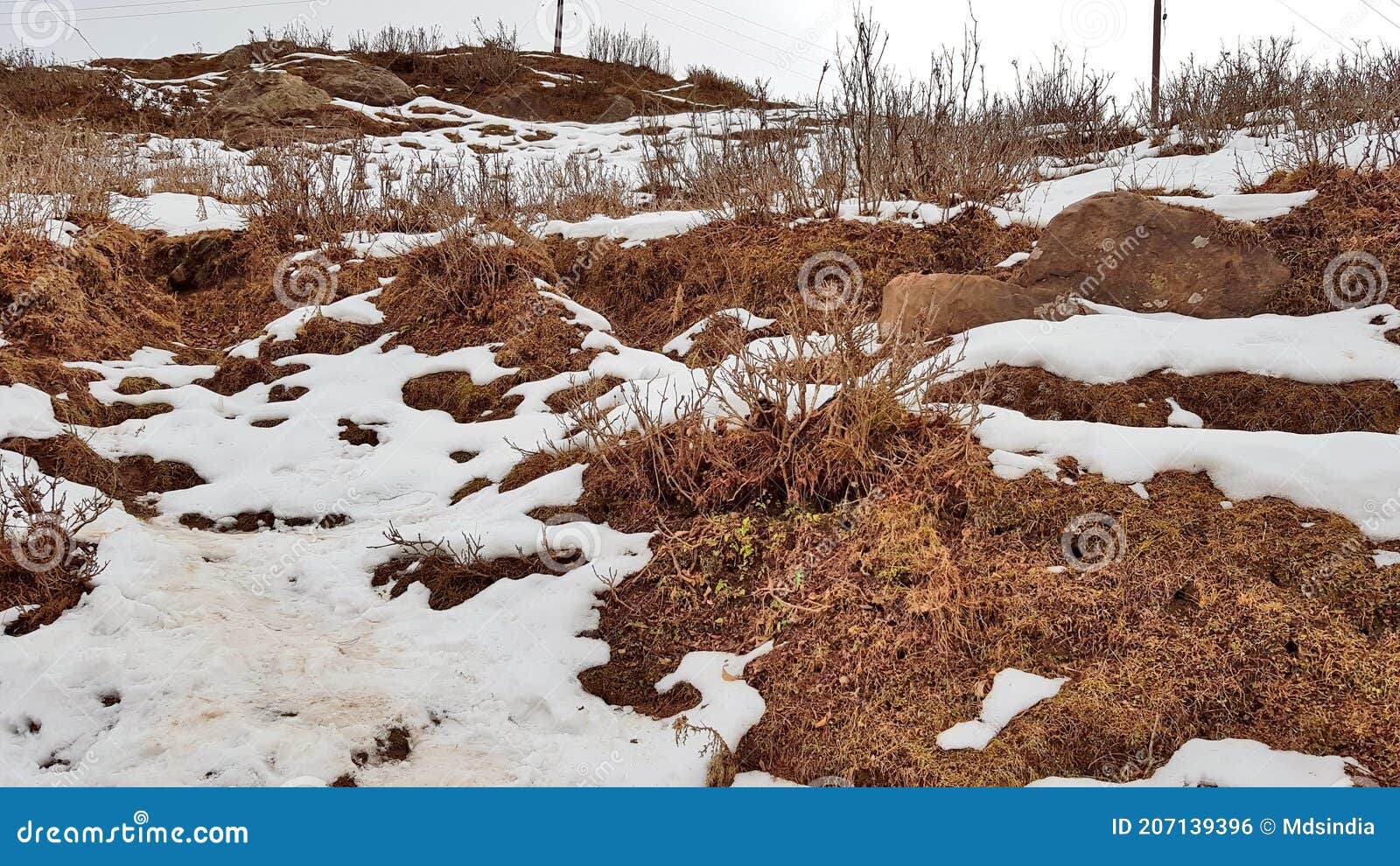Snowfall at Patnitop stock photo. Image of white, snowy - 207139396