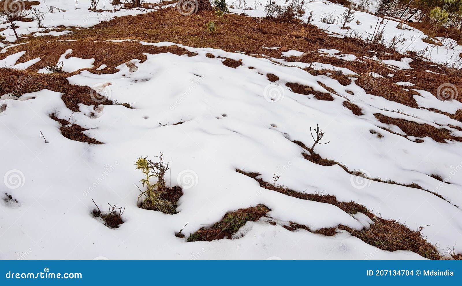 Snowfall at Patnitop stock photo. Image of decoration - 207134704