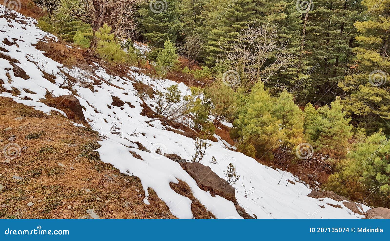 Snowfall at Patnitop stock photo. Image of effect, december - 207135074