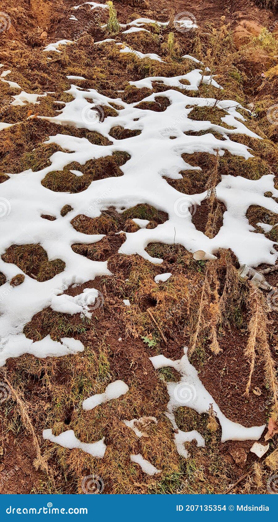 Snowfall at Patnitop stock photo. Image of glitter, nature - 207135354