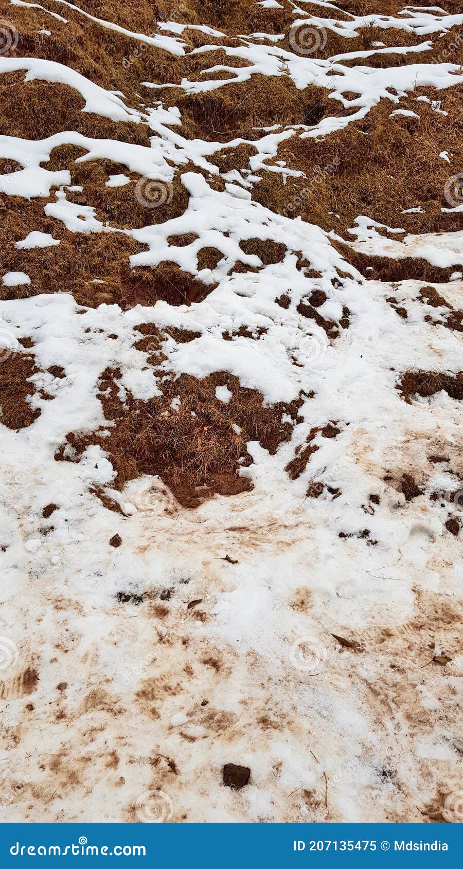 Snowfall at Patnitop stock image. Image of winter, snowfall - 207135475