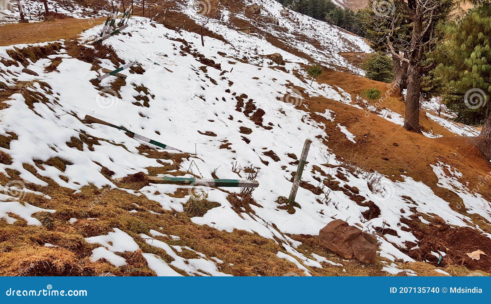 Snowfall at Patnitop stock photo. Image of texture, season - 207135740