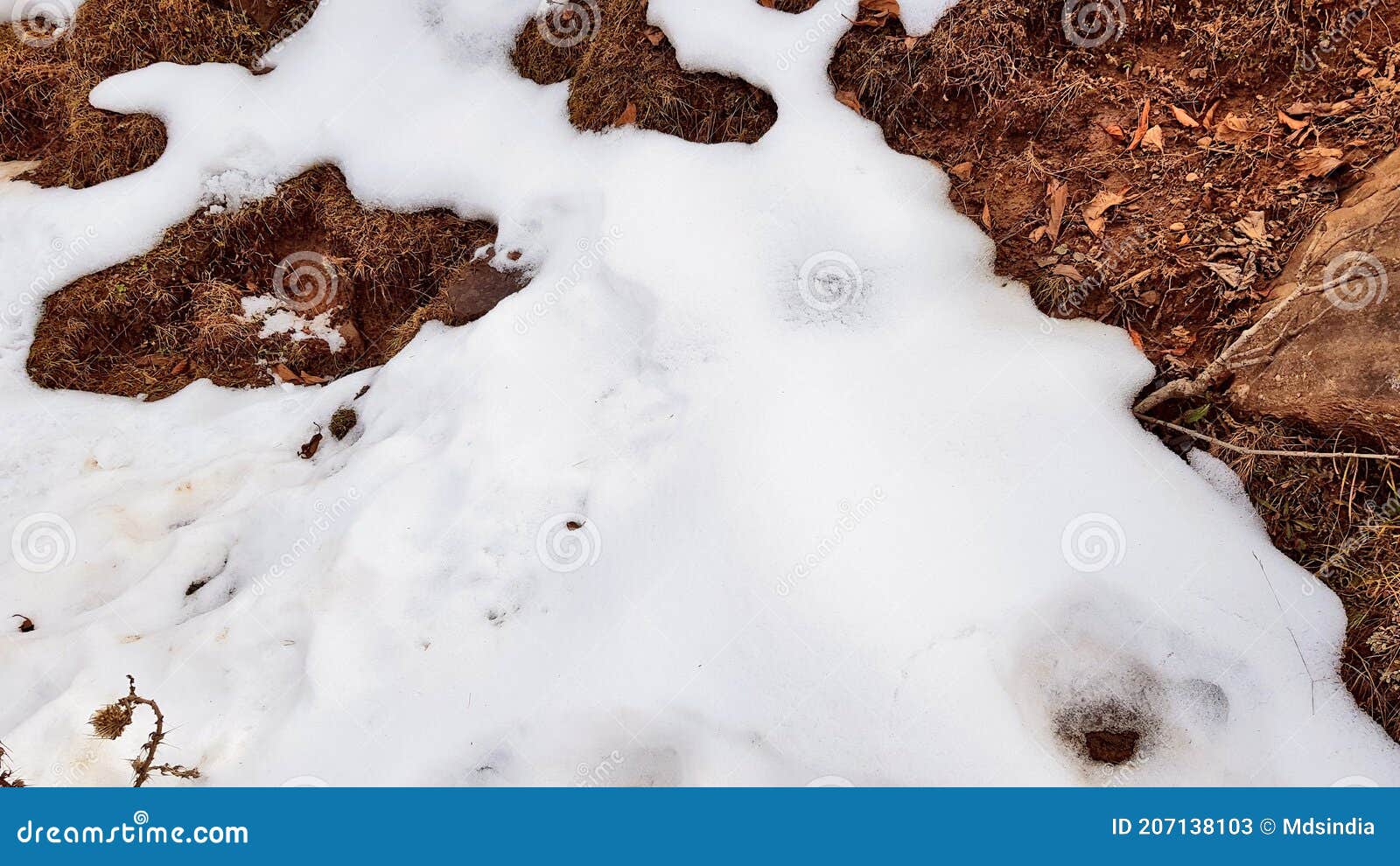 Snowfall at Patnitop stock image. Image of season, bright - 207138103