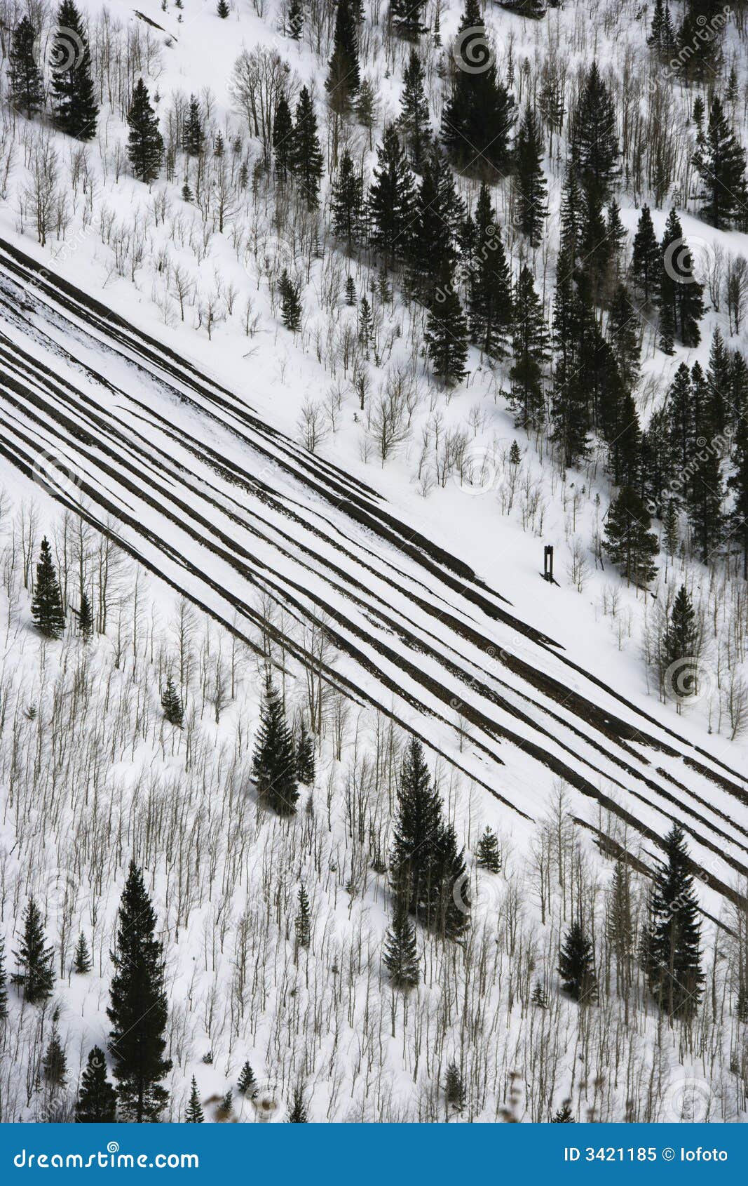 Snowfall on Road with Trees. Stock Image - Image of 070310w0090 ...