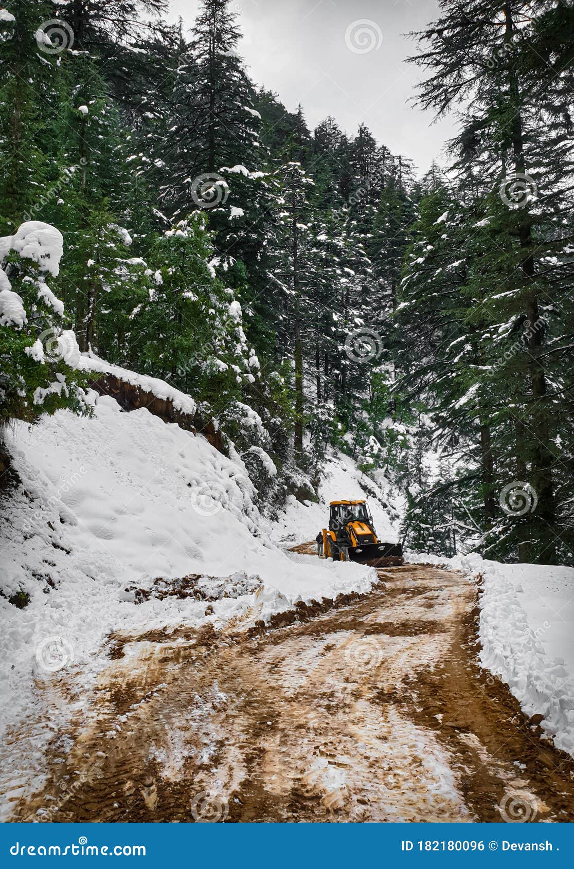 Snowfall roads trees stock photo. Image of winter, tree - 182180096
