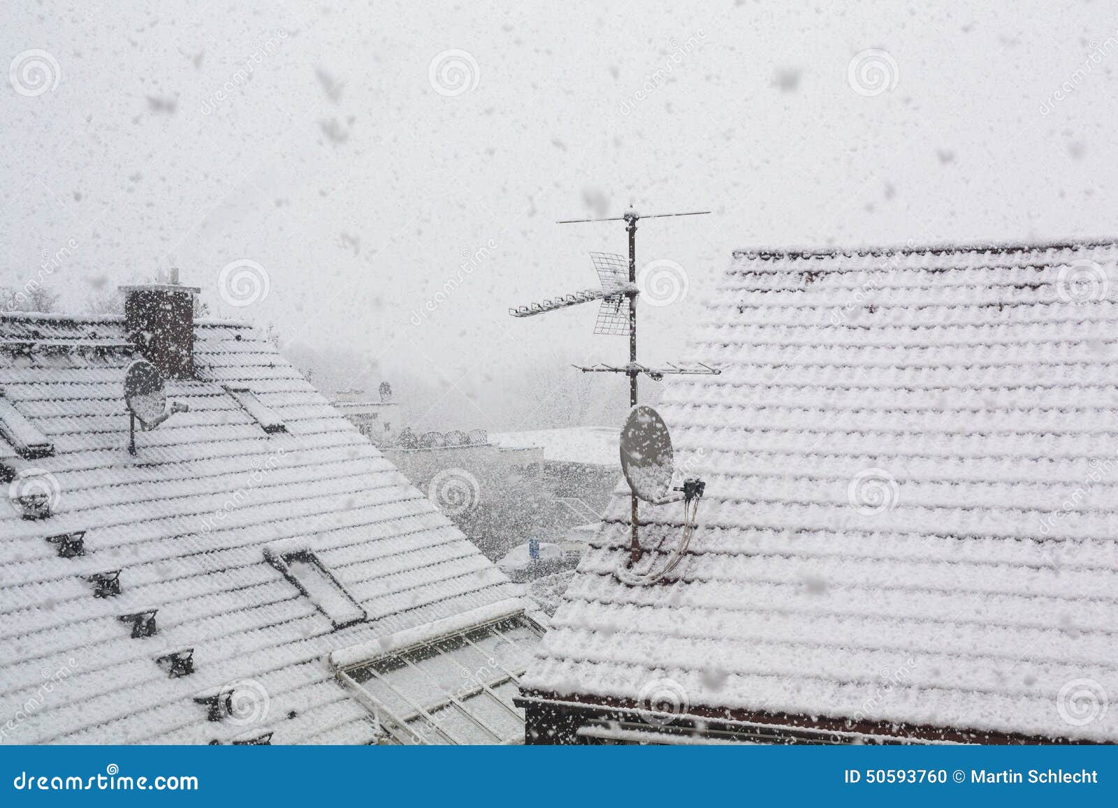 Snowfall stock photo. Image of frozen, snowfall, background - 50593760