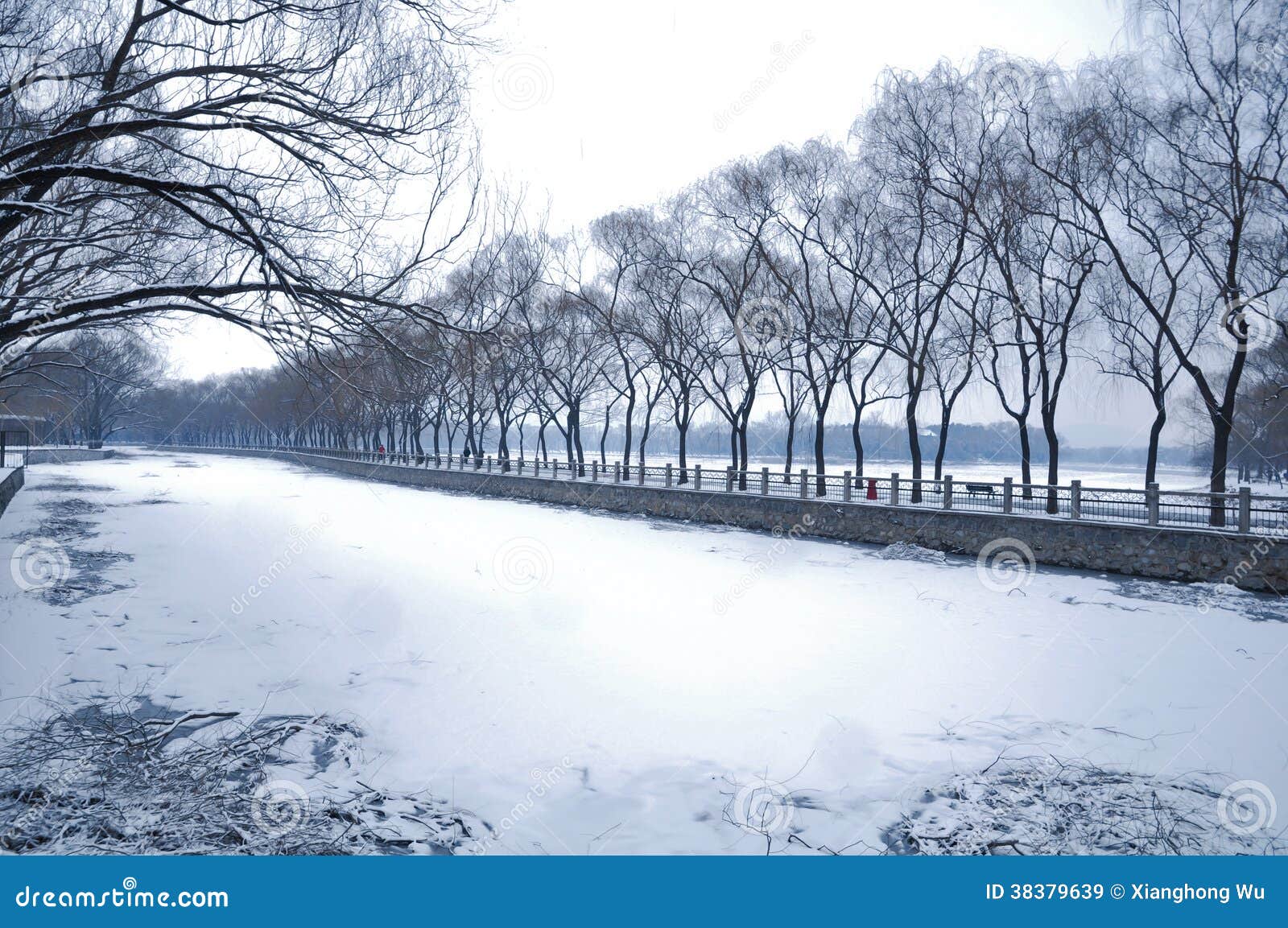 The Snowfall in the Summer Palace Stock Image - Image of nature, bare ...