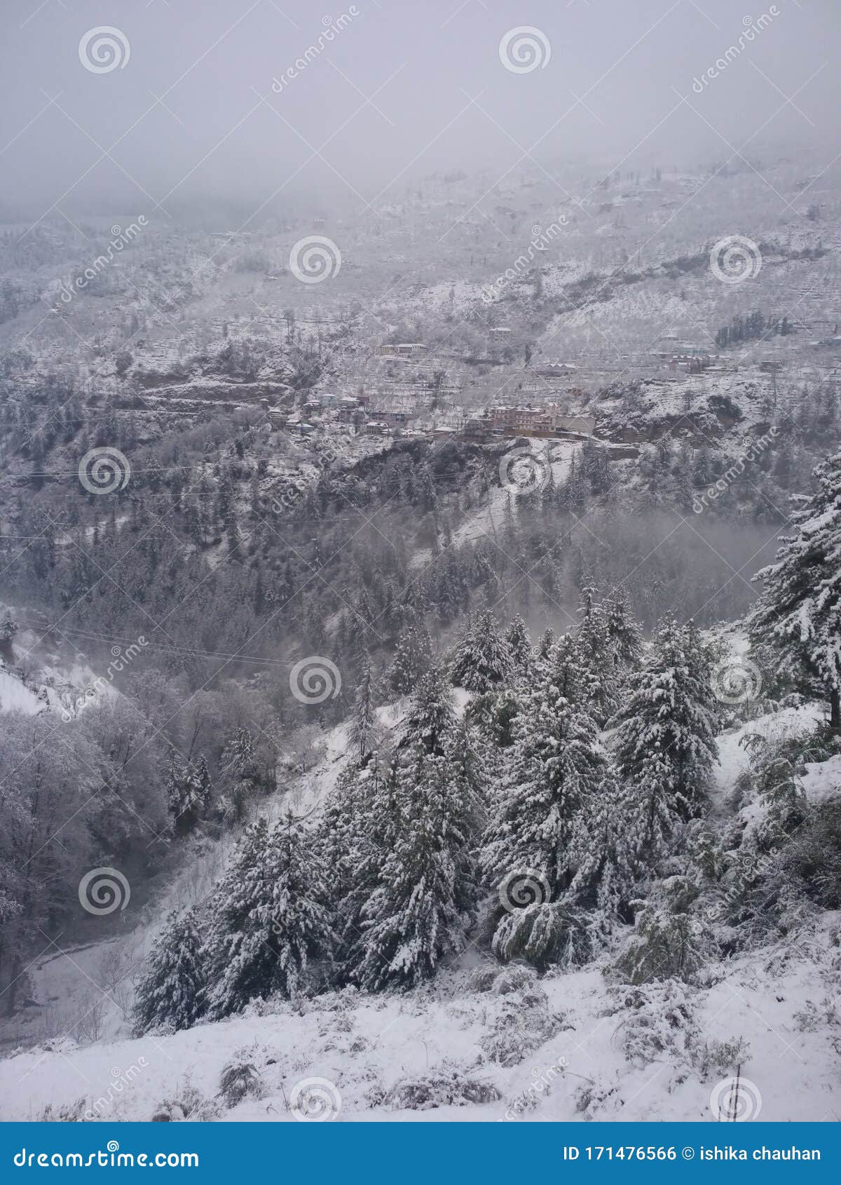 Snowfall in upper himachal stock photo. Image of looking - 171476566