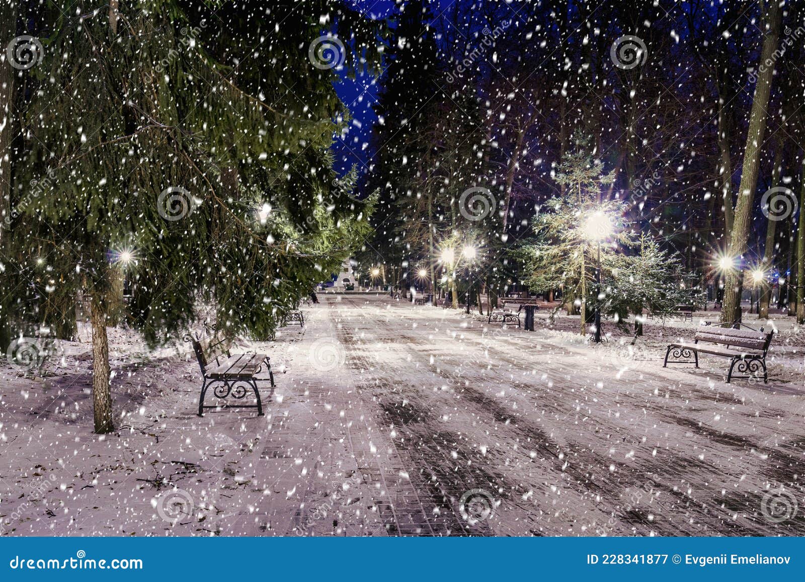 Snowfall in a Winter Park at Night with Christmas Decorations, Lights ...