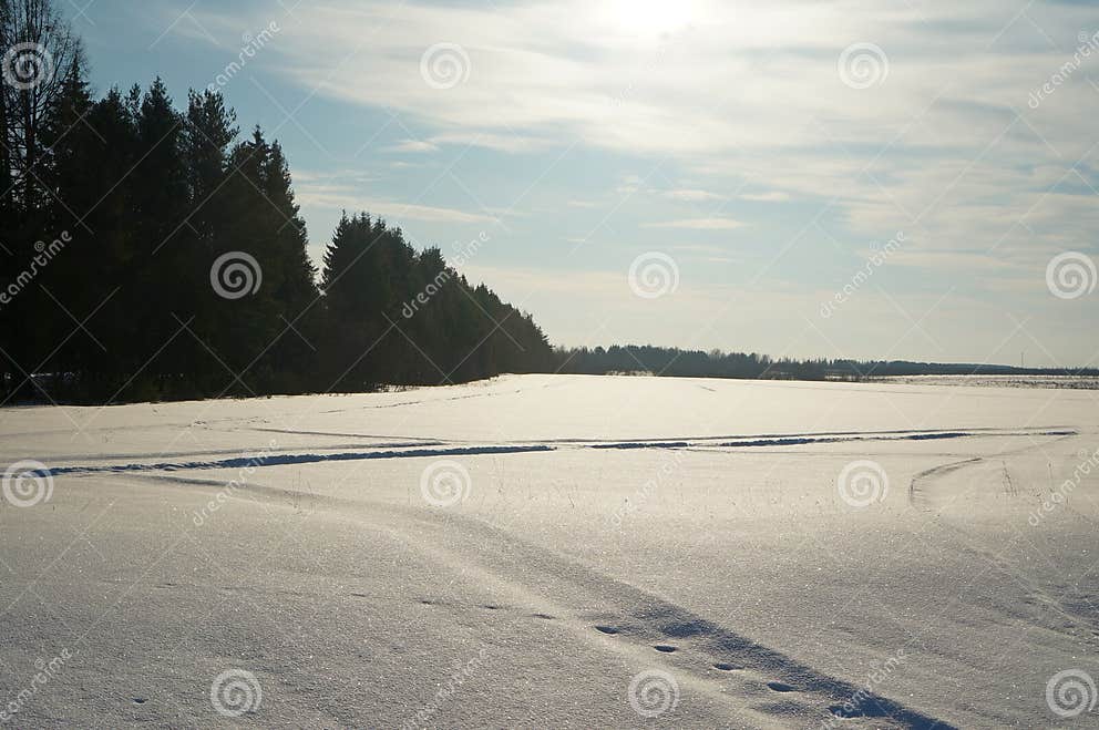 Snowfield stock photo. Image of snow, white, background - 53745200