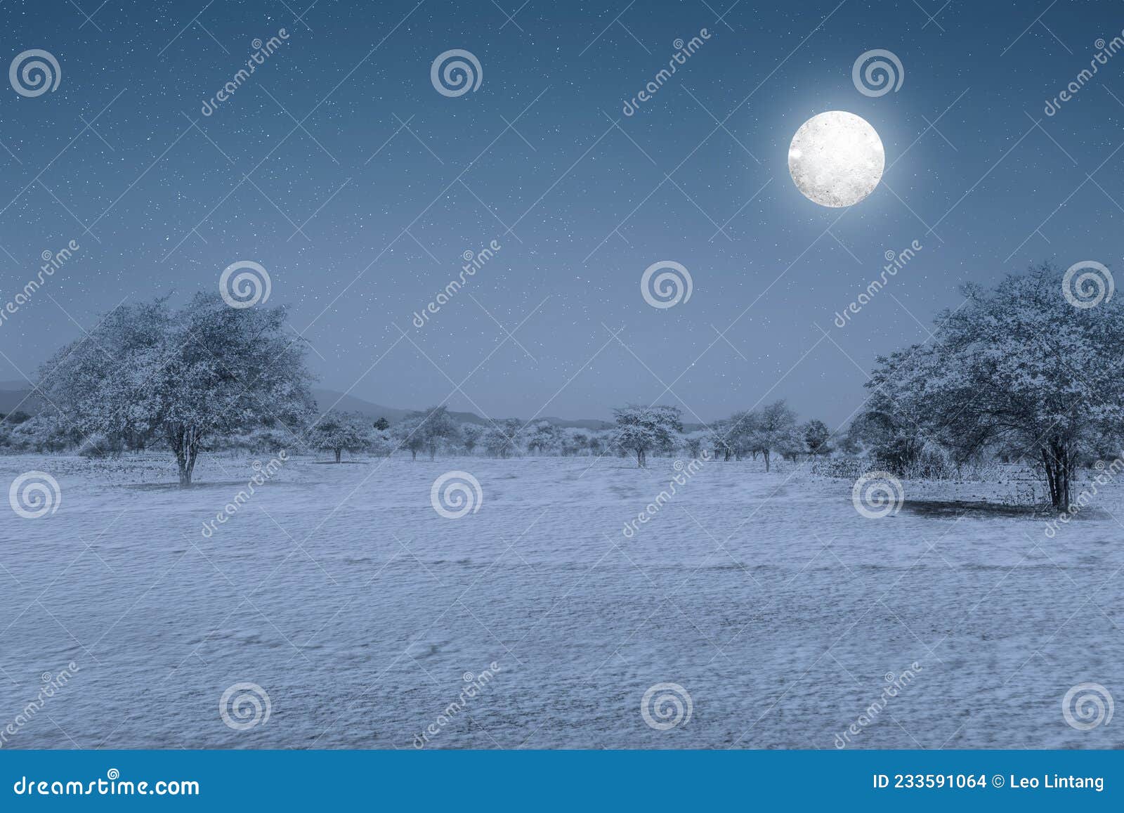 Snowfield with full moon stock photo. Image of nature - 233591064