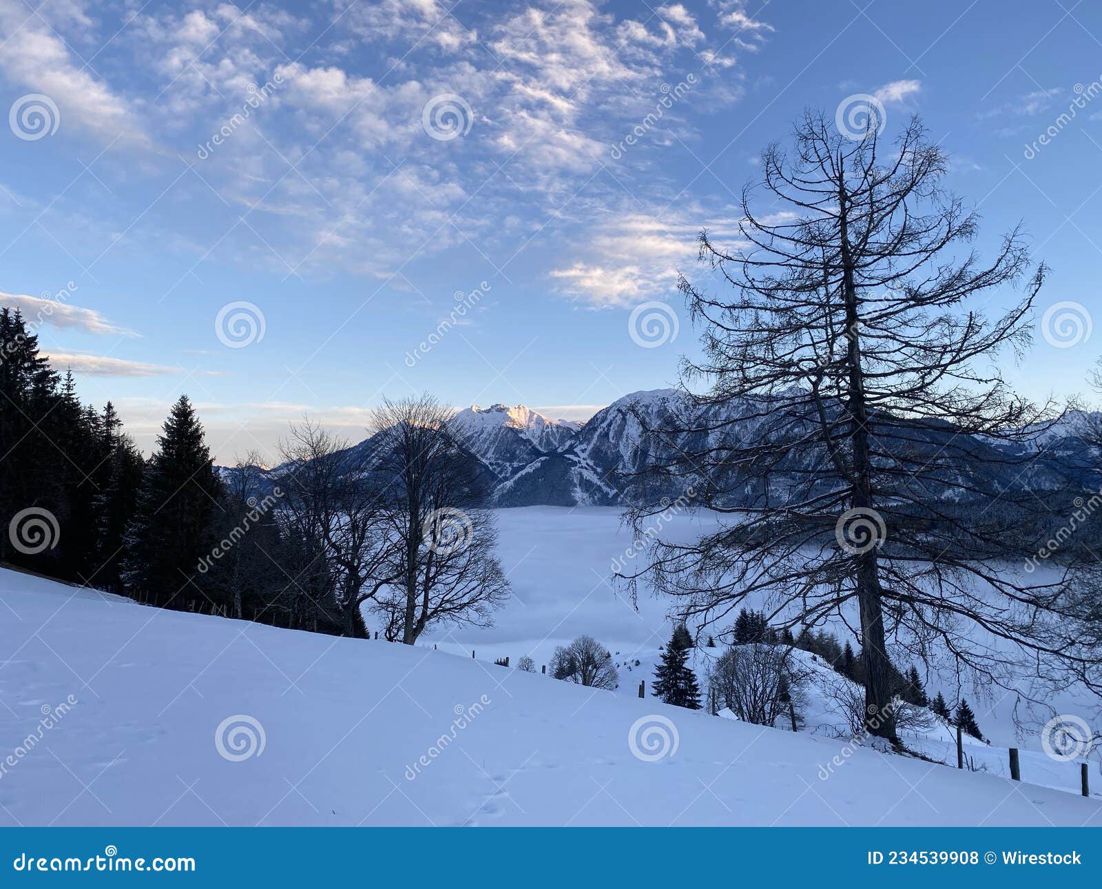 Snowfield and Hills in Winter Stock Photo - Image of view, natural ...