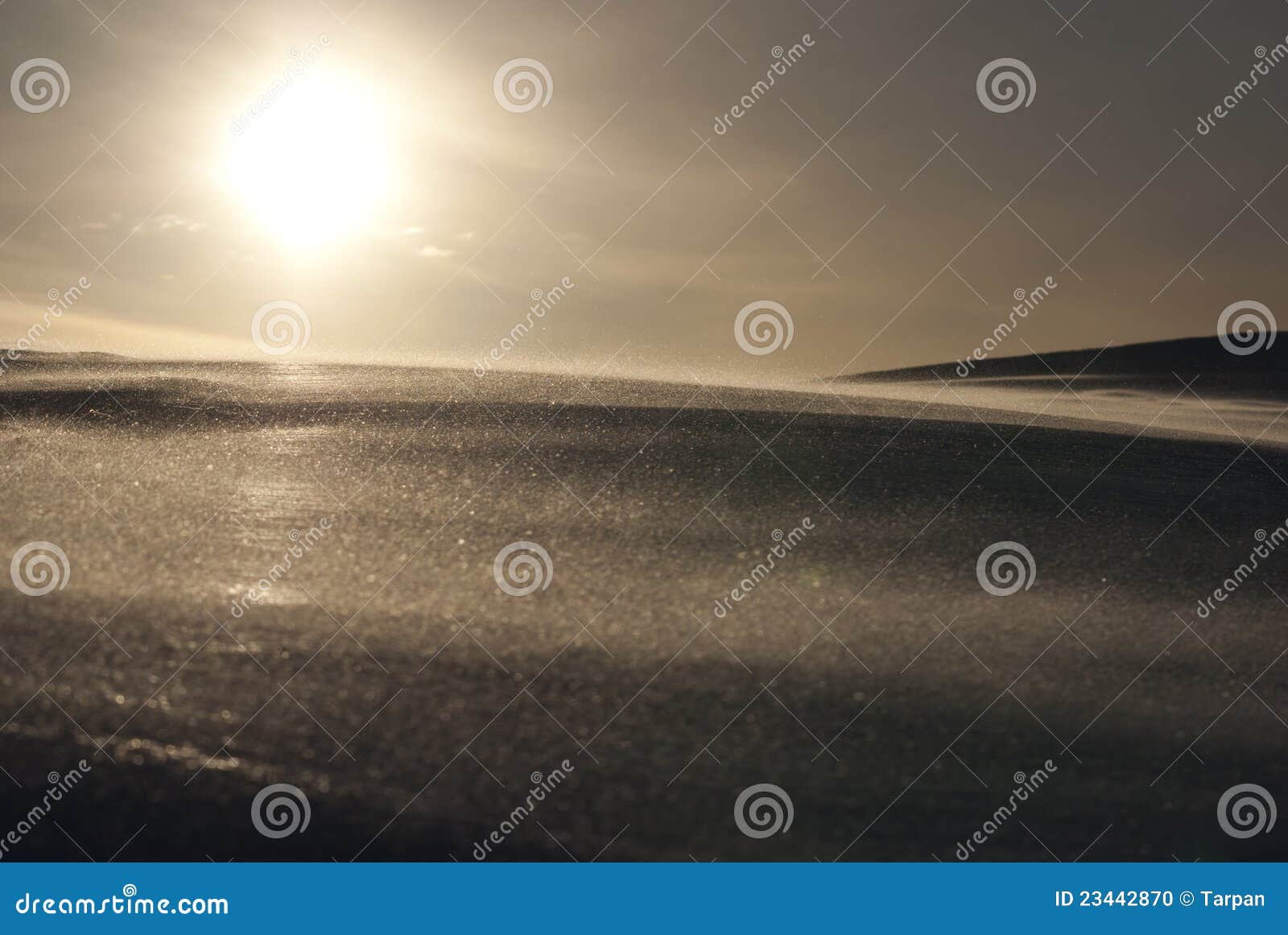 Snowfield in the Rays of Winter Sun. Stock Photo - Image of color ...