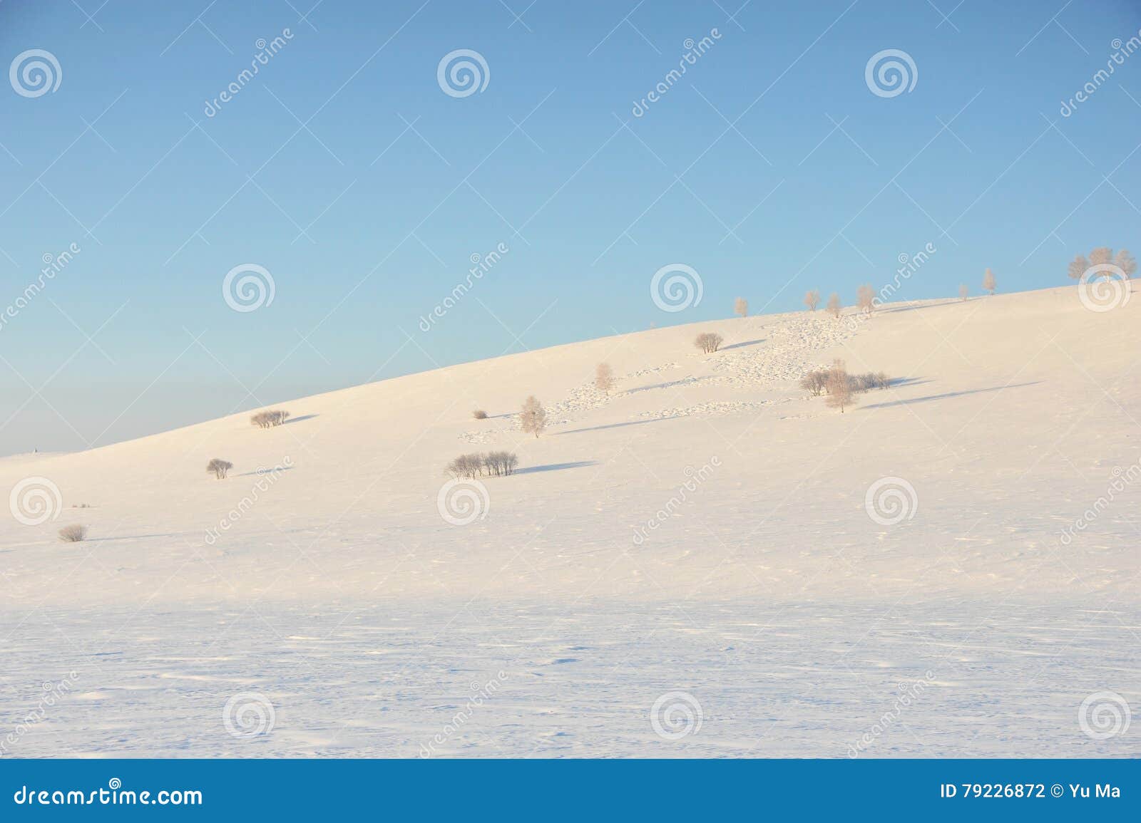Snowfield stock photo. Image of people, northland, snowfield - 79226872