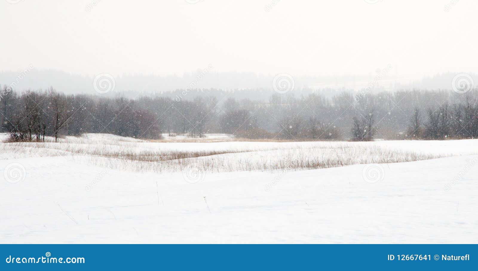 Snowfield in snowstorm stock image. Image of mountain - 12667641