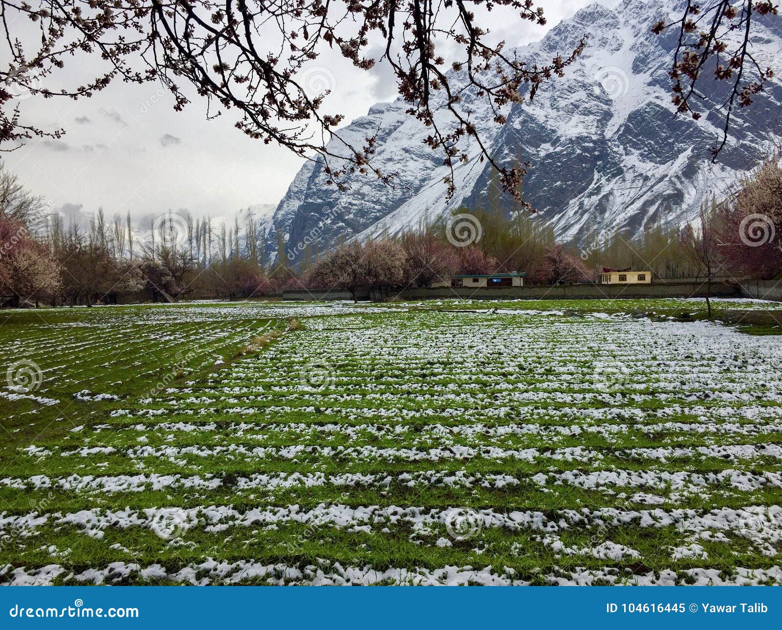 Snowfield stock image. Image of fall, snow, snowfield - 104616445