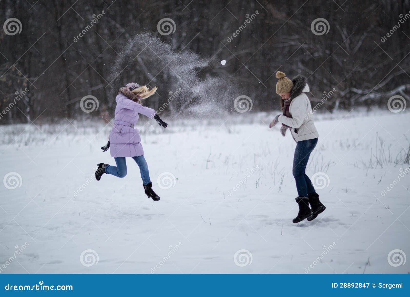 Snowfight stock image. Image of happiness, adults, enjoyment - 28892847