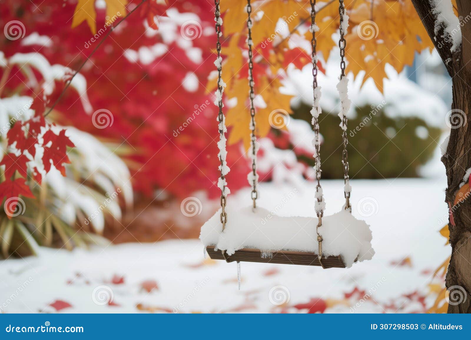Snowfilled Tree Swing with a Backdrop of Red and Gold Leaves Stock ...
