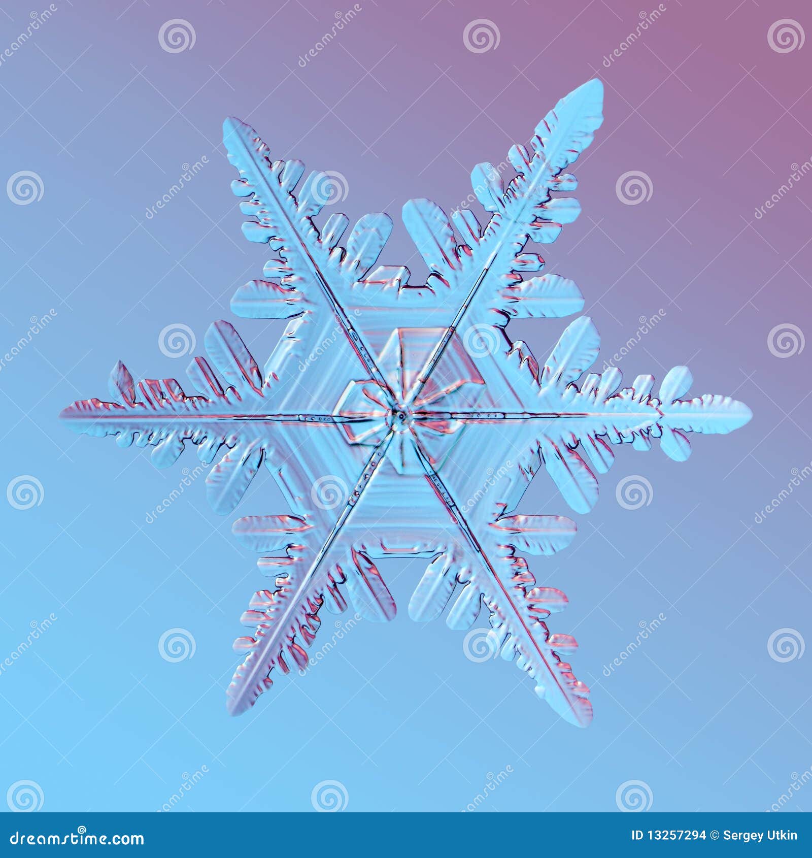930 Snowflake Geometry Stock Photos - Free & Royalty-Free Stock Photos ...