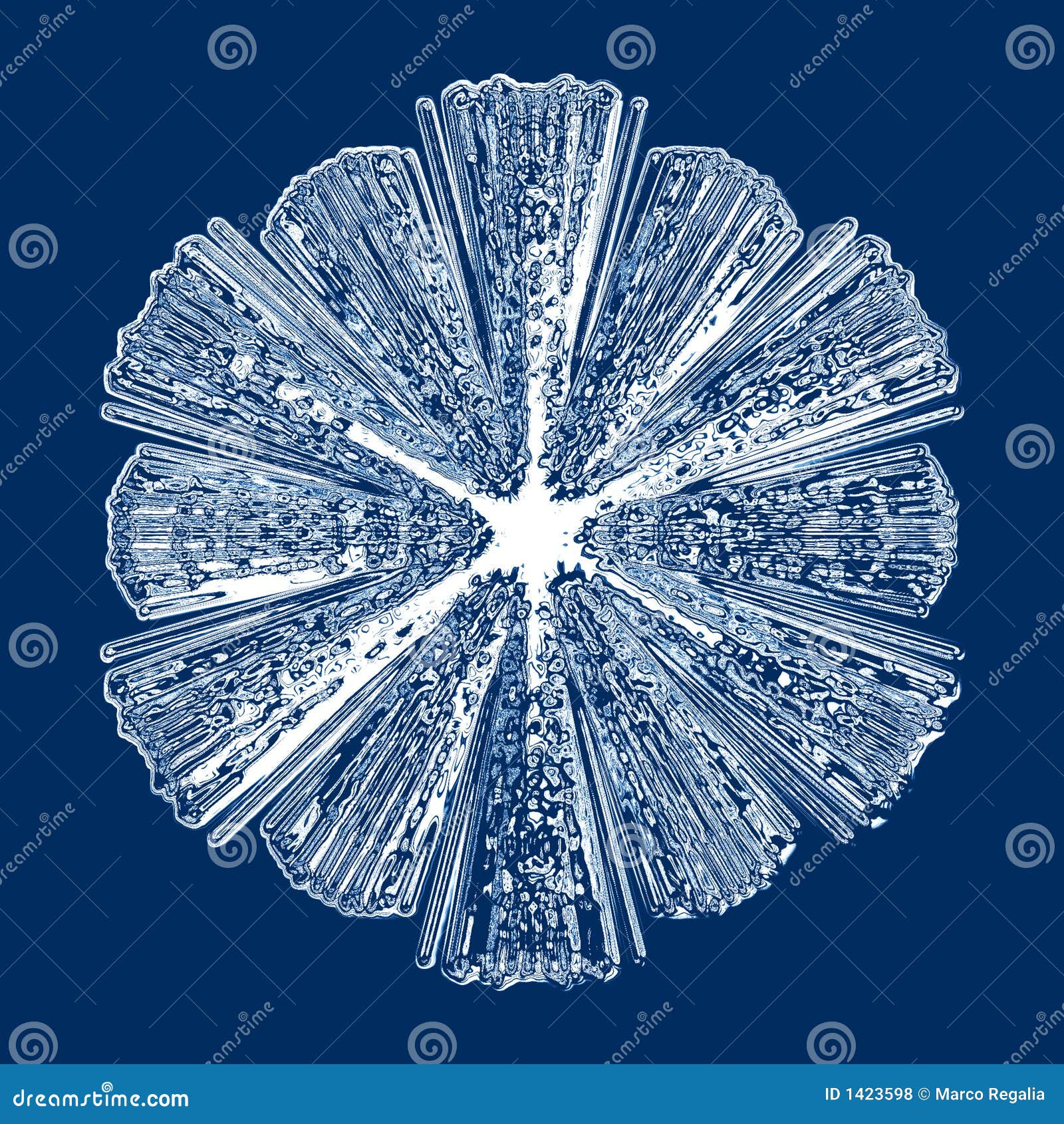 Snowflake stock illustration. Illustration of relief, texture - 1423598
